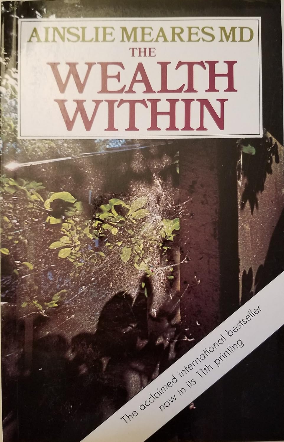 Wealth Within: Meares, Ainslie: 9780855720865: Amazon.com: Books