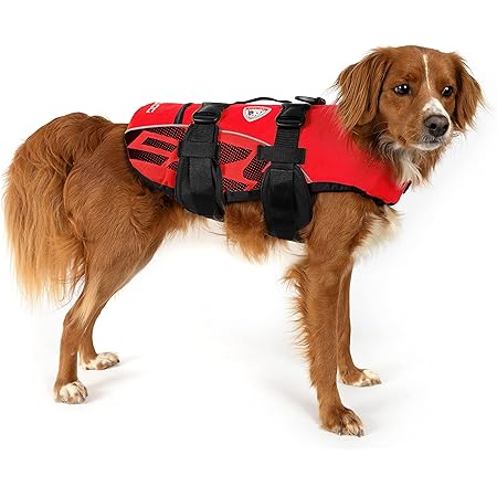 Amazon.com : EzyDog Micro Doggy Flotation Device (DFD) for Small Dogs ...