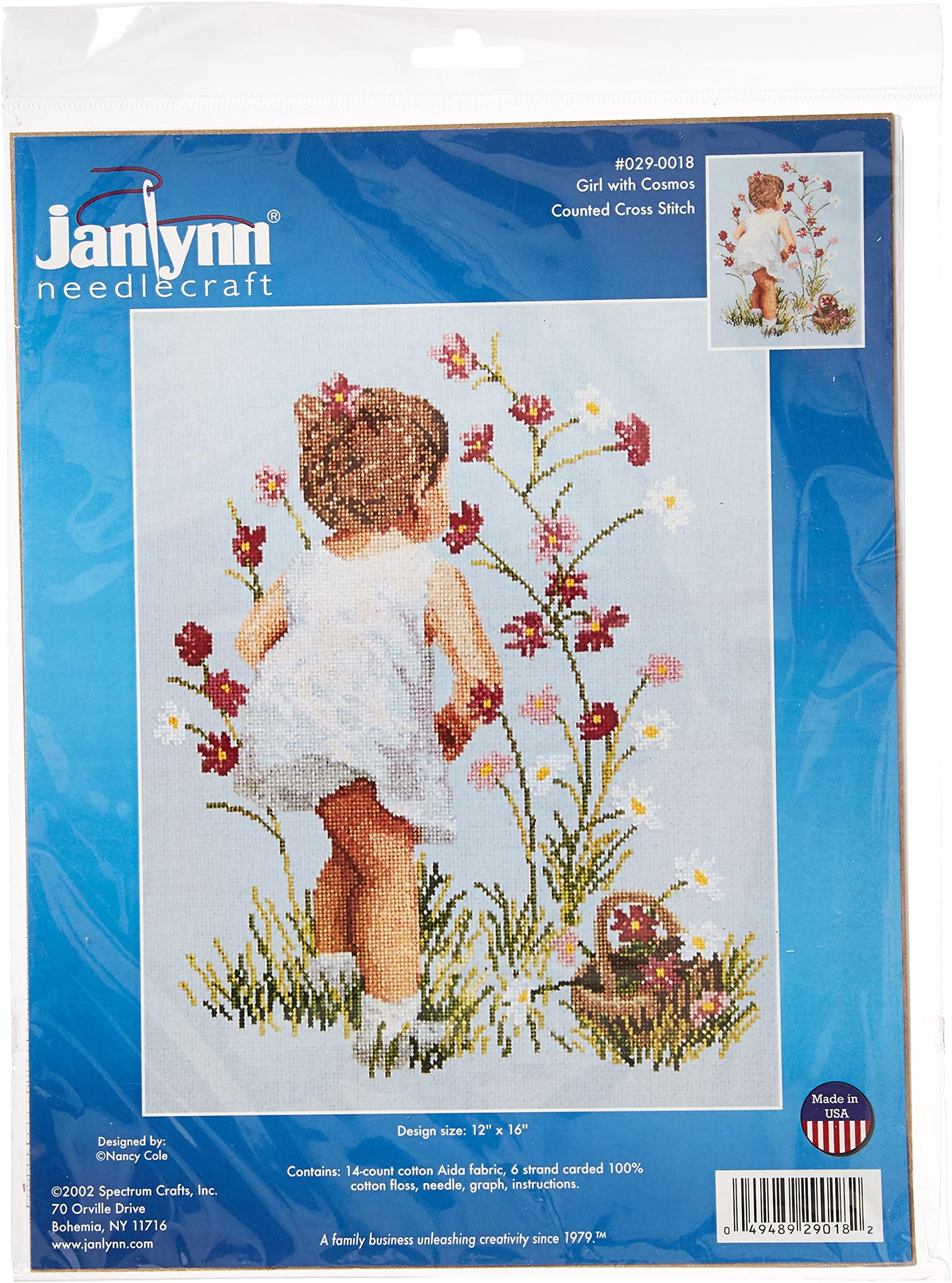 Amazon.com: Janlynn Counted Cross Stitch Kit, Girls with Cosmos Silver ...