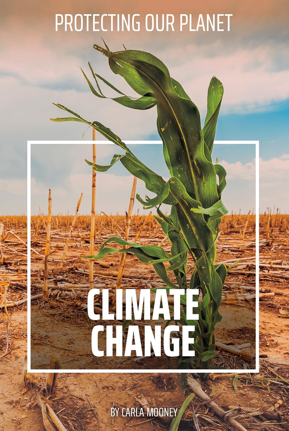 Climate Change (Protecting Our Planet): Mooney, Carla: 9781098293420 ...