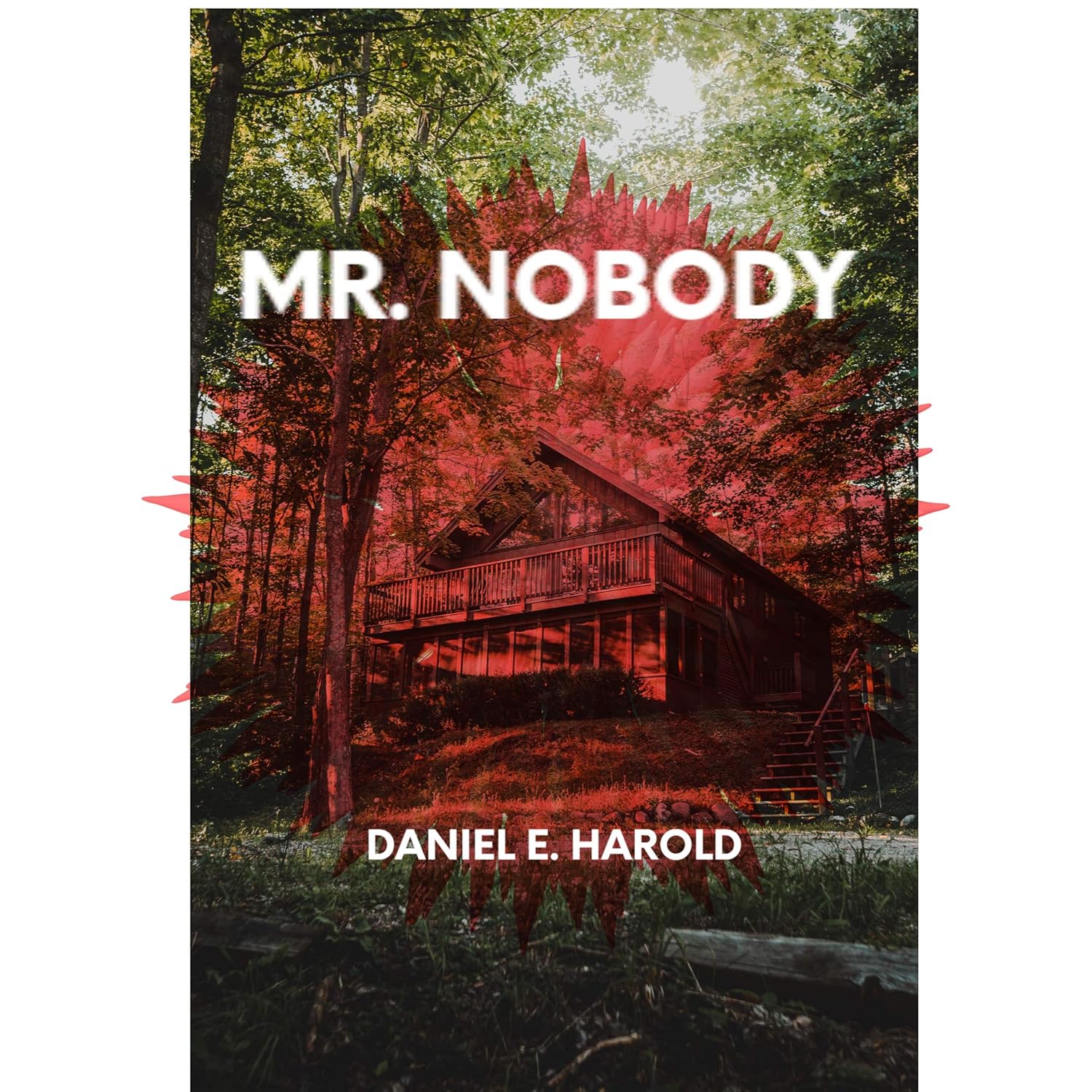 Mr. Nobody - Kindle edition by Harold, Daniel E.. Literature & Fiction ...
