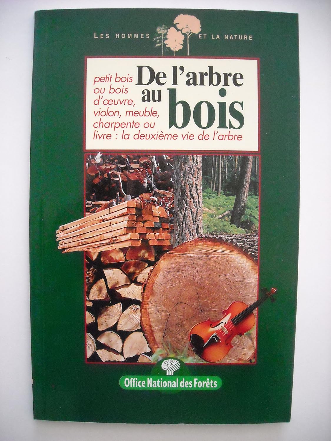 Arbre Au Bois Tres Noir