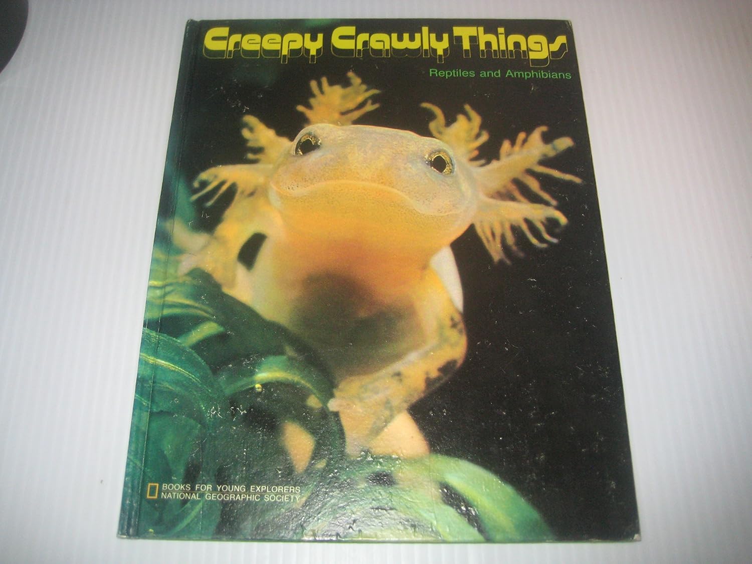 Creepy Crawly Things: Reptiles and Amphibians: national geographic ...