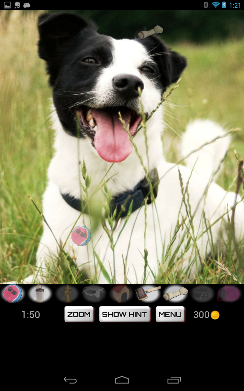 Hidden Object: Dogs - App on Amazon Appstore