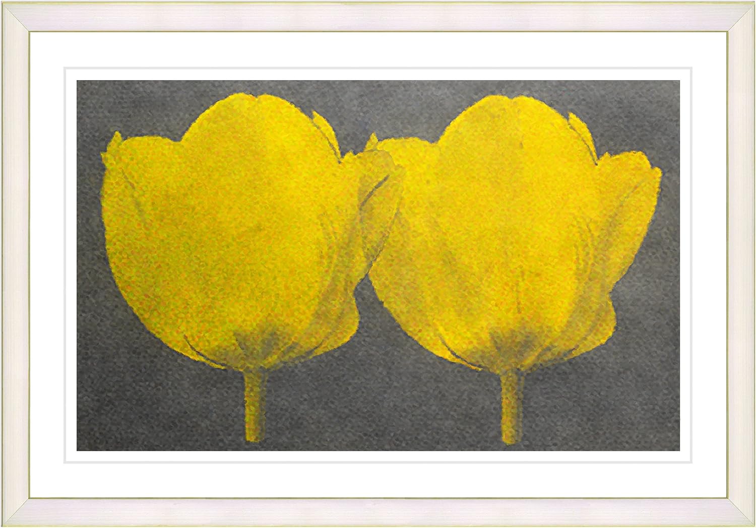 Amazon.com: Studio Works Modern Twin Tulips Fine Art Print with Creamy ...
