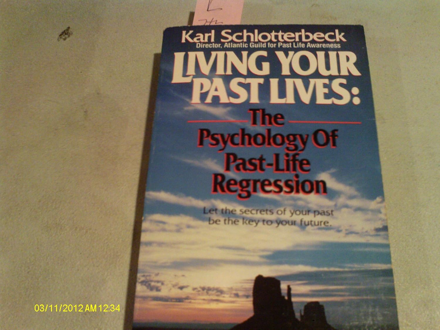 Amazon.com: Living Your Past Lives: The Psychology of Past Life ...