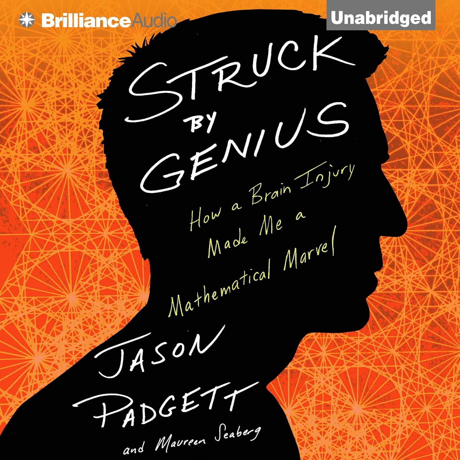 Amazon.com: Struck by Genius: How a Brain Injury Made Me a Mathematical ...