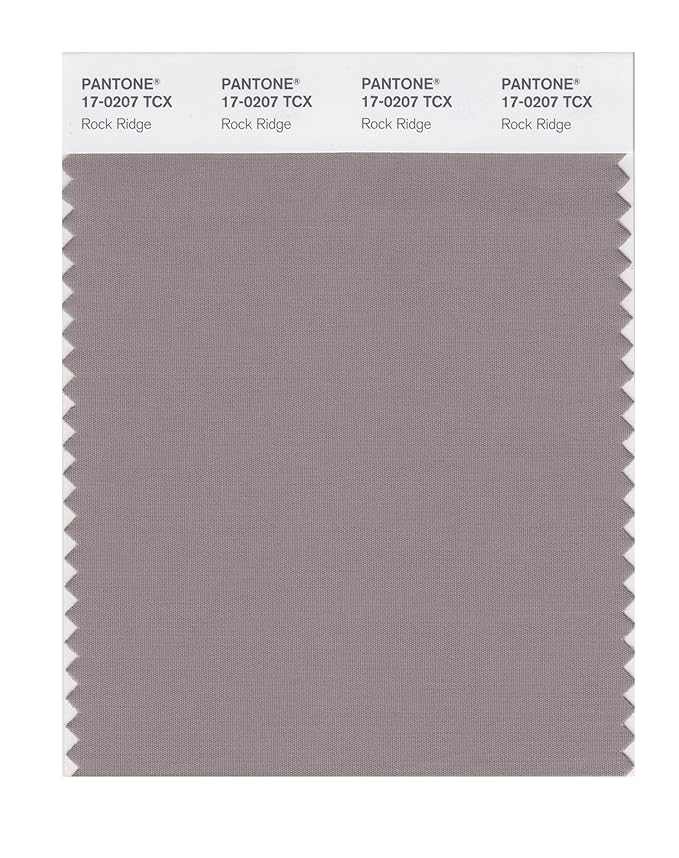 PANTONE Smart 17-0207X Color Swatch Card, Rock Ridge : Amazon.in: Home ...