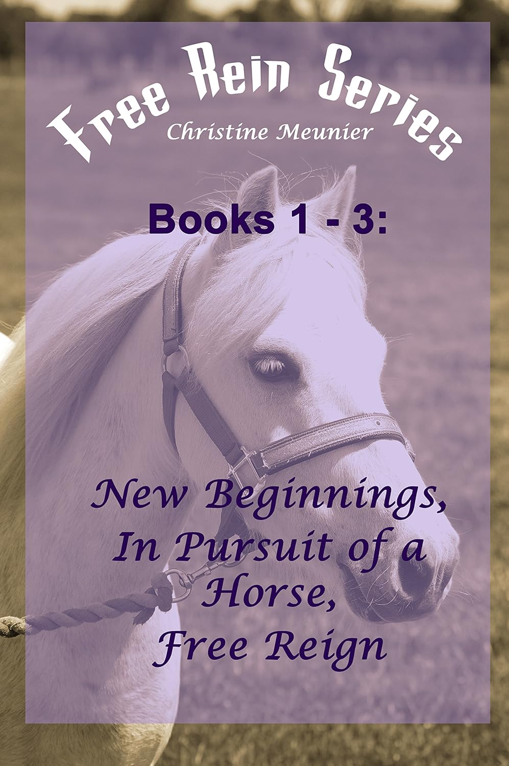 New Beginnings, In Pursuit of a Horse, Free Reign: Books 1 - 3 - Kindle ...
