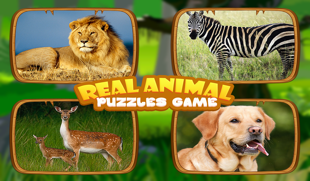 Real Animal Puzzles Game - App on Amazon Appstore