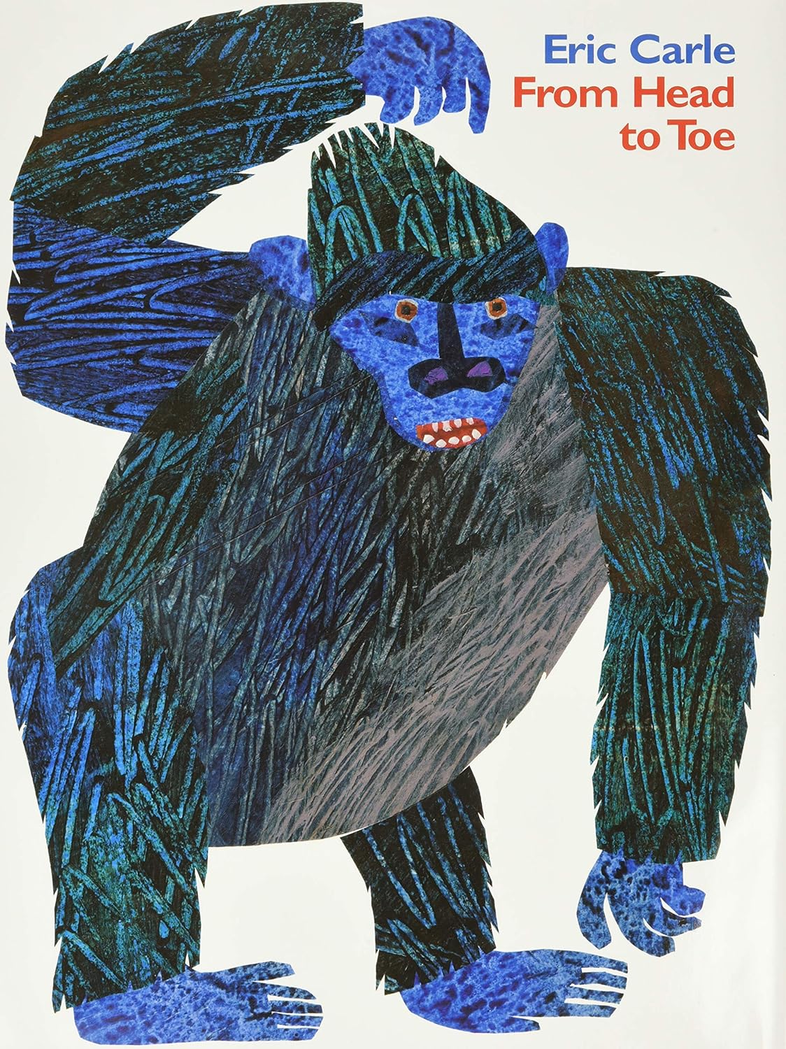 Amazon.com: From Head to Toe: An Energetic Picture Book About Animals ...