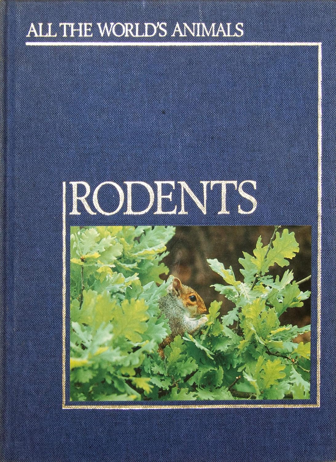 Rodents (All the Worlds Animals): David M. Macdonald: 9780920269787 ...