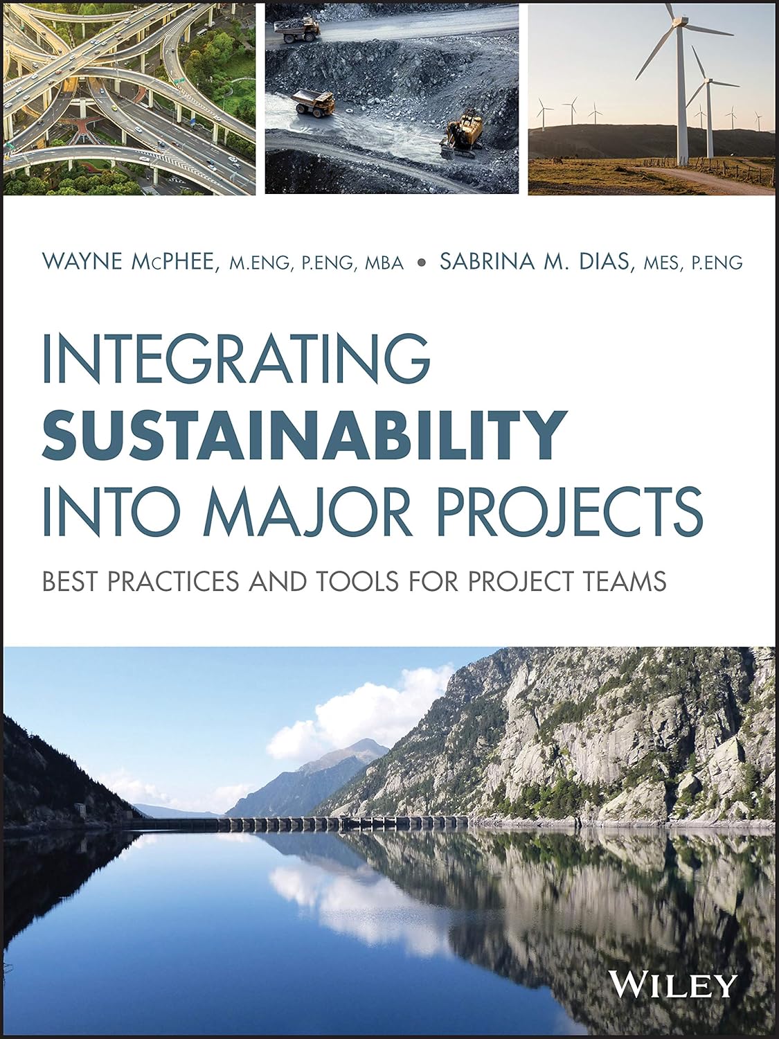 Integrating Sustainability Into Major Projects: Best Practices and ...