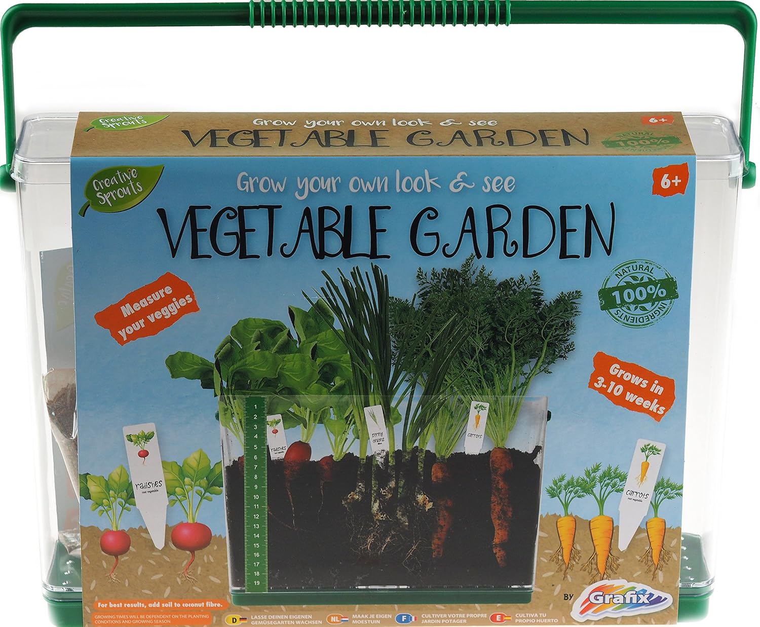 Creative Sprouts Grow Your Own Vegetable Garden : Amazon.co.uk: Garden
