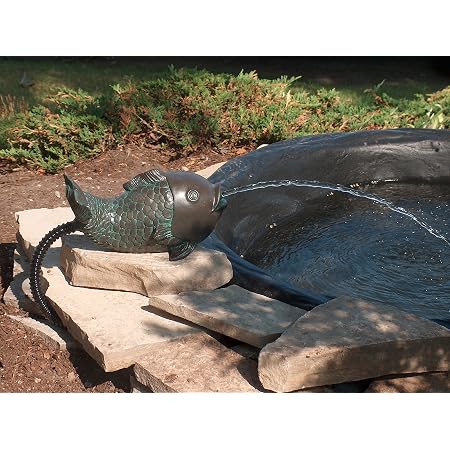 Amazon.com: Algreen Pond Fish Spitter with Pump and Tubing : Patio ...