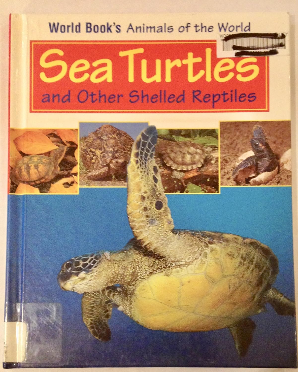 Sea Turtles and Other Shelled Reptiles (World Book's Animals of the ...