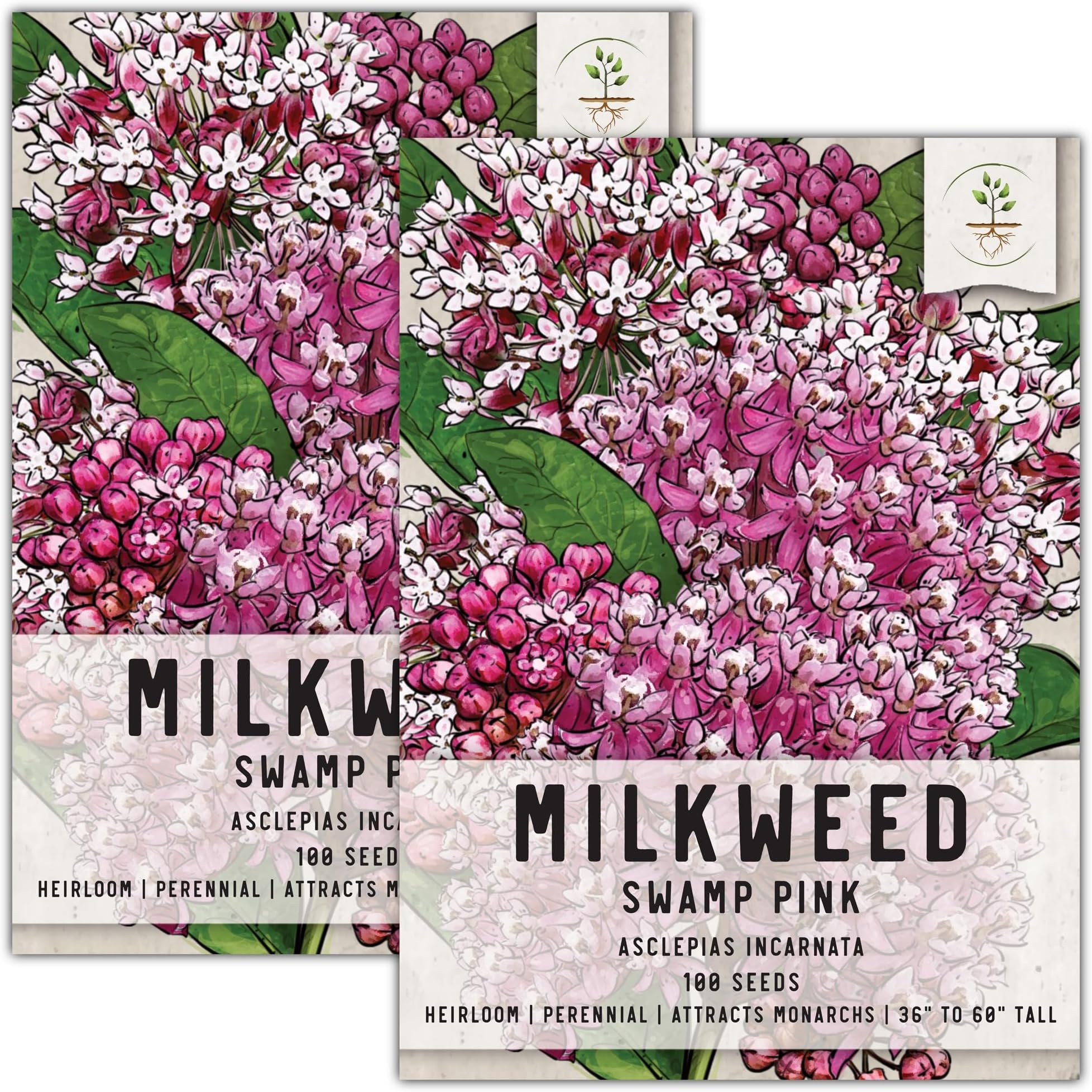 Amazon.com: Everwilde Farms - 200 Swamp Milkweed Native Wildflower ...