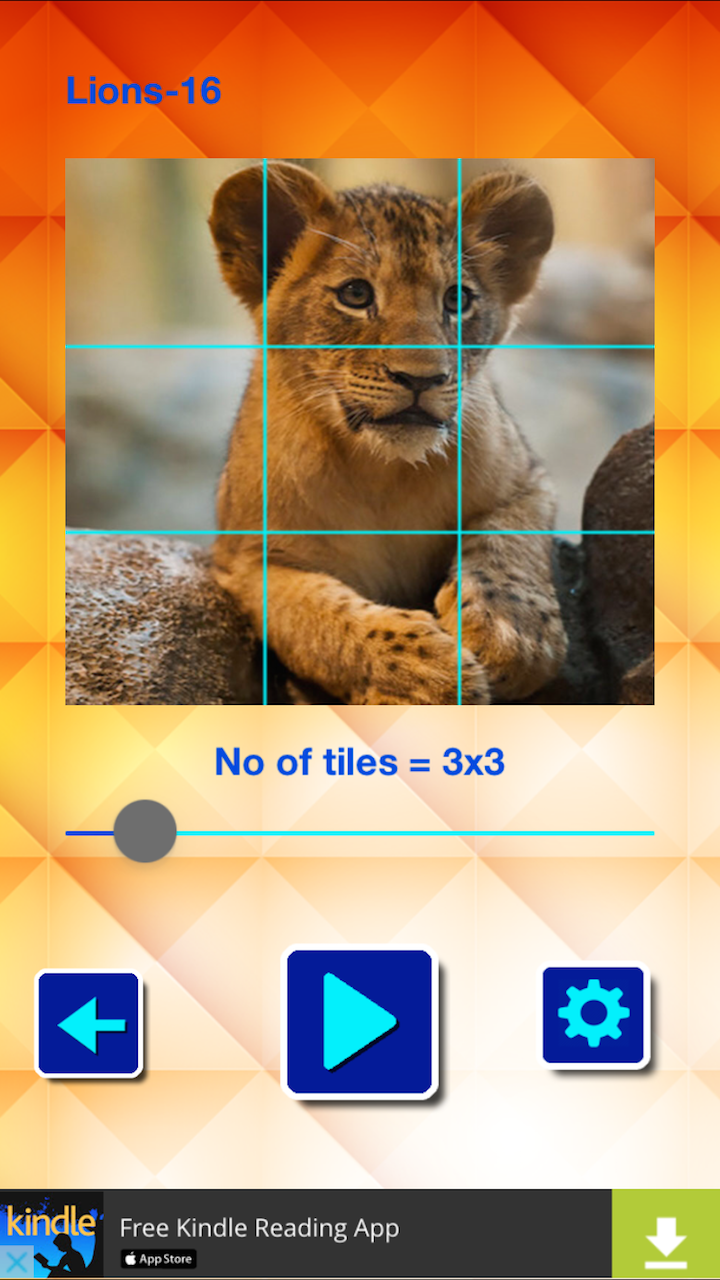 Lions and Big Cats - Puzzle Slide - App on Amazon Appstore