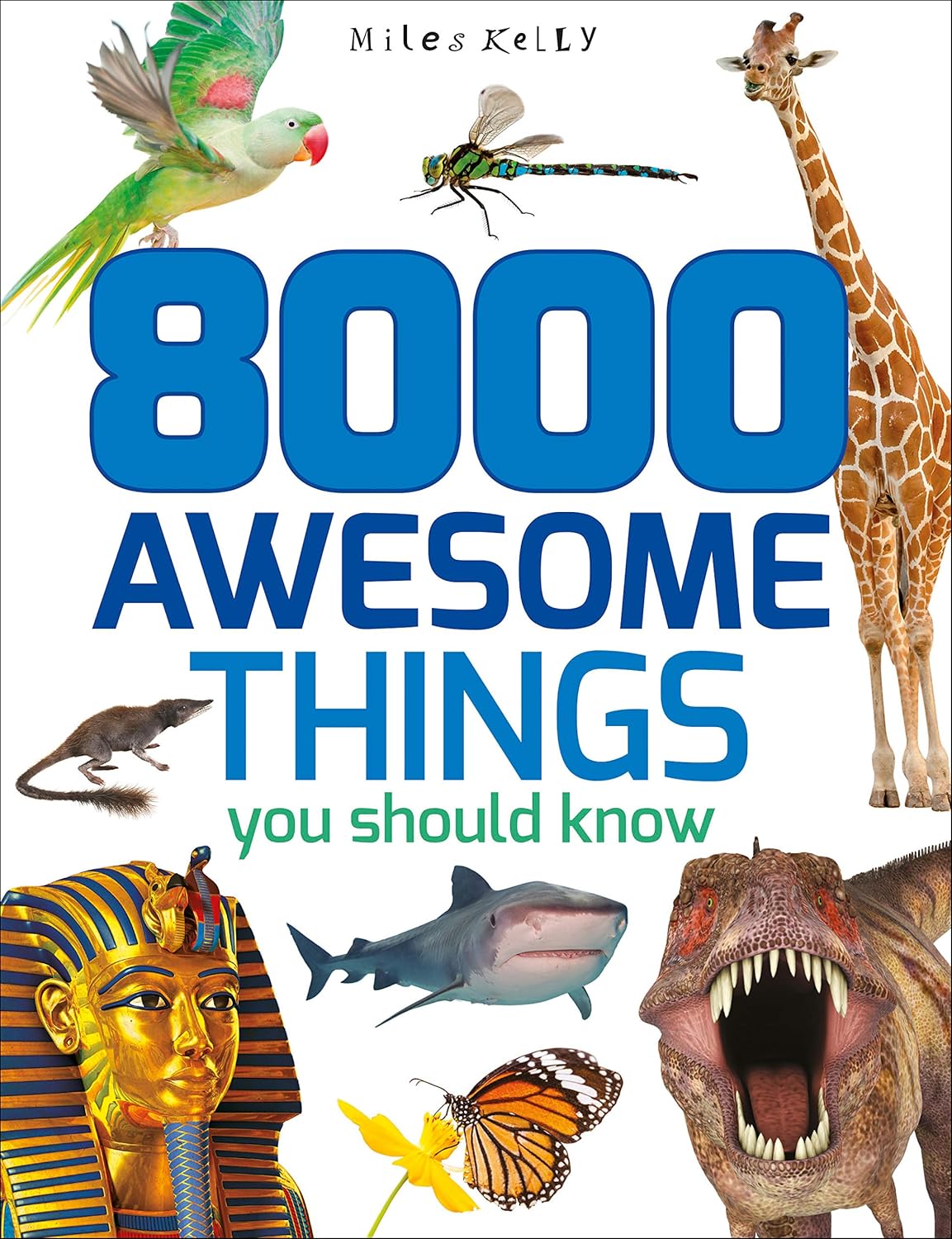 8000 Awesome Things You Should Know (512-Page Fact) : Kelly, Miles ...