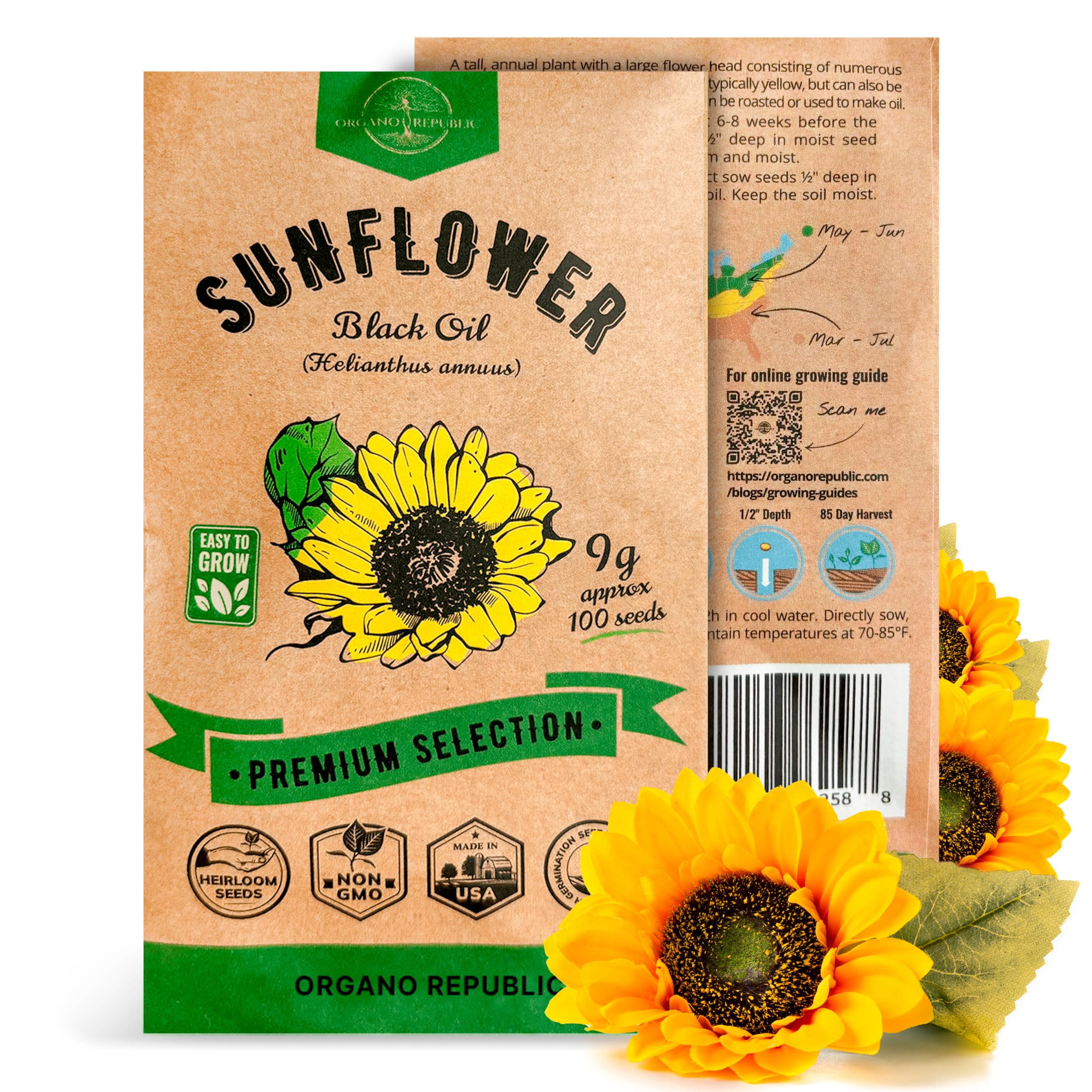 Amazon.com : Sunflower Black Oil Seeds Pack 9G - Over 100 of Non-GMO ...