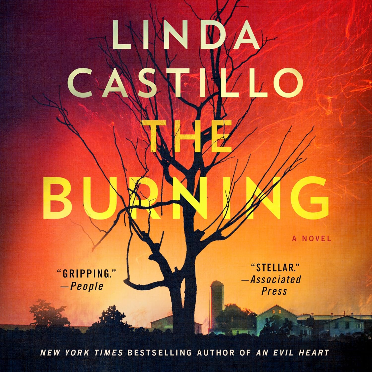 The Burning: A Novel (Kate Burkholder, 16): Castillo, Linda, McInerney ...