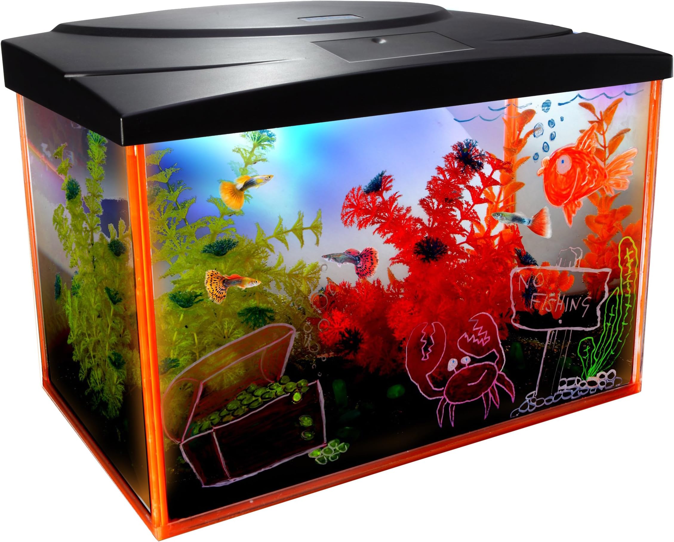 Interpet Fish Pod Moon Glass Aquarium - Fish Pod Moon 19 Litre : Amazon ...