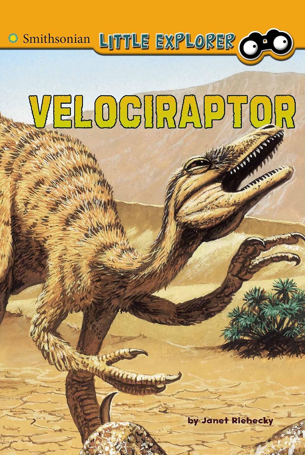 Amazon.com: Velociraptor (Little Paleontologist) eBook : Riehecky ...