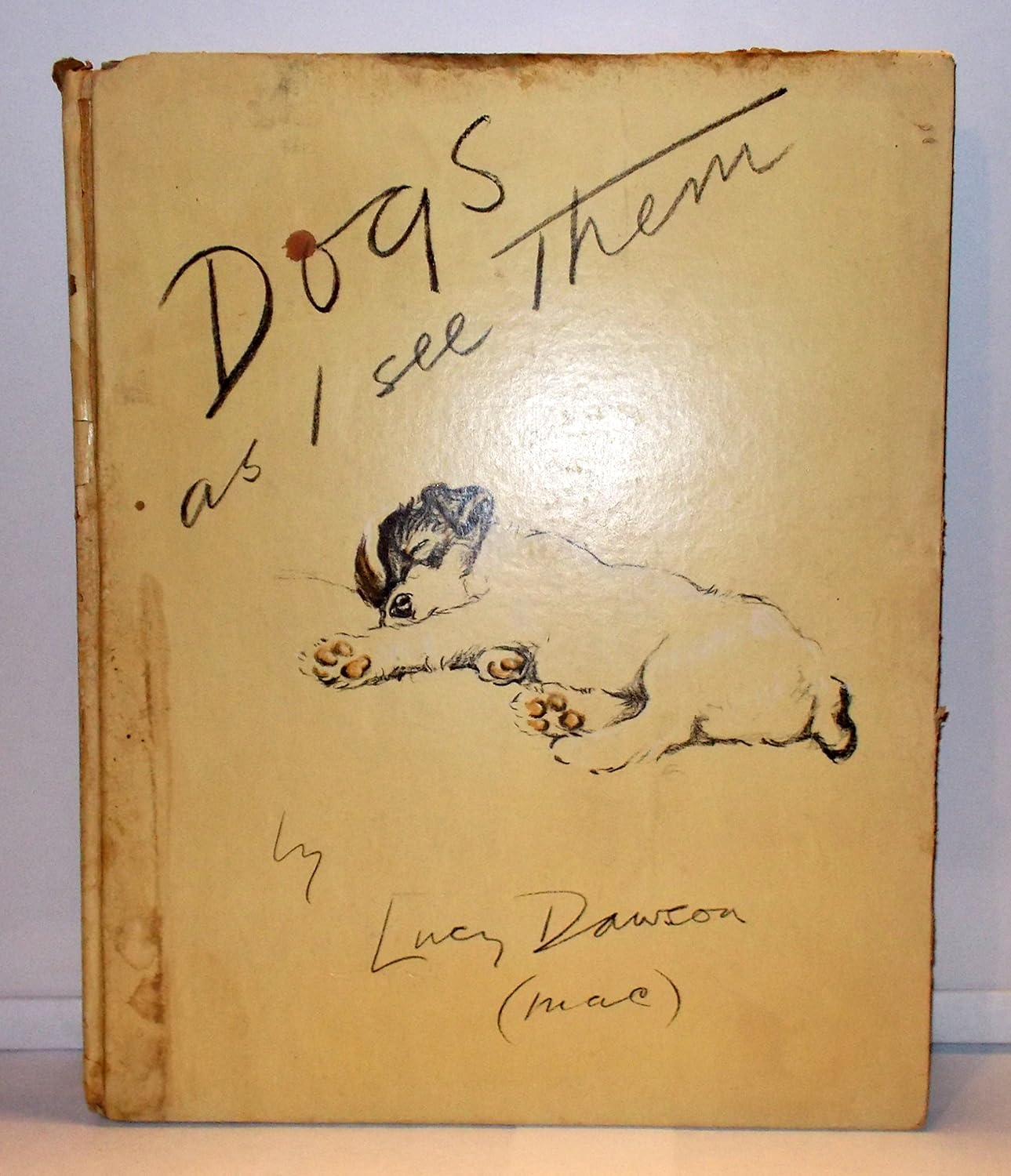 Dogs As I See Them: Dawson, Lucy, Patchett, Ann: 9780062412881: Amazon ...