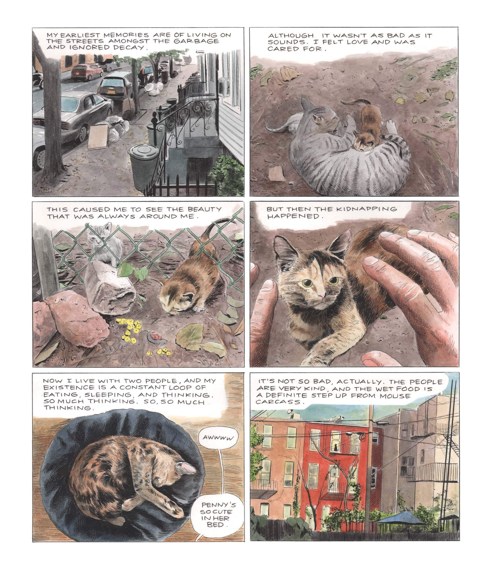 Snapklik.com : Penny: A Graphic Memoir