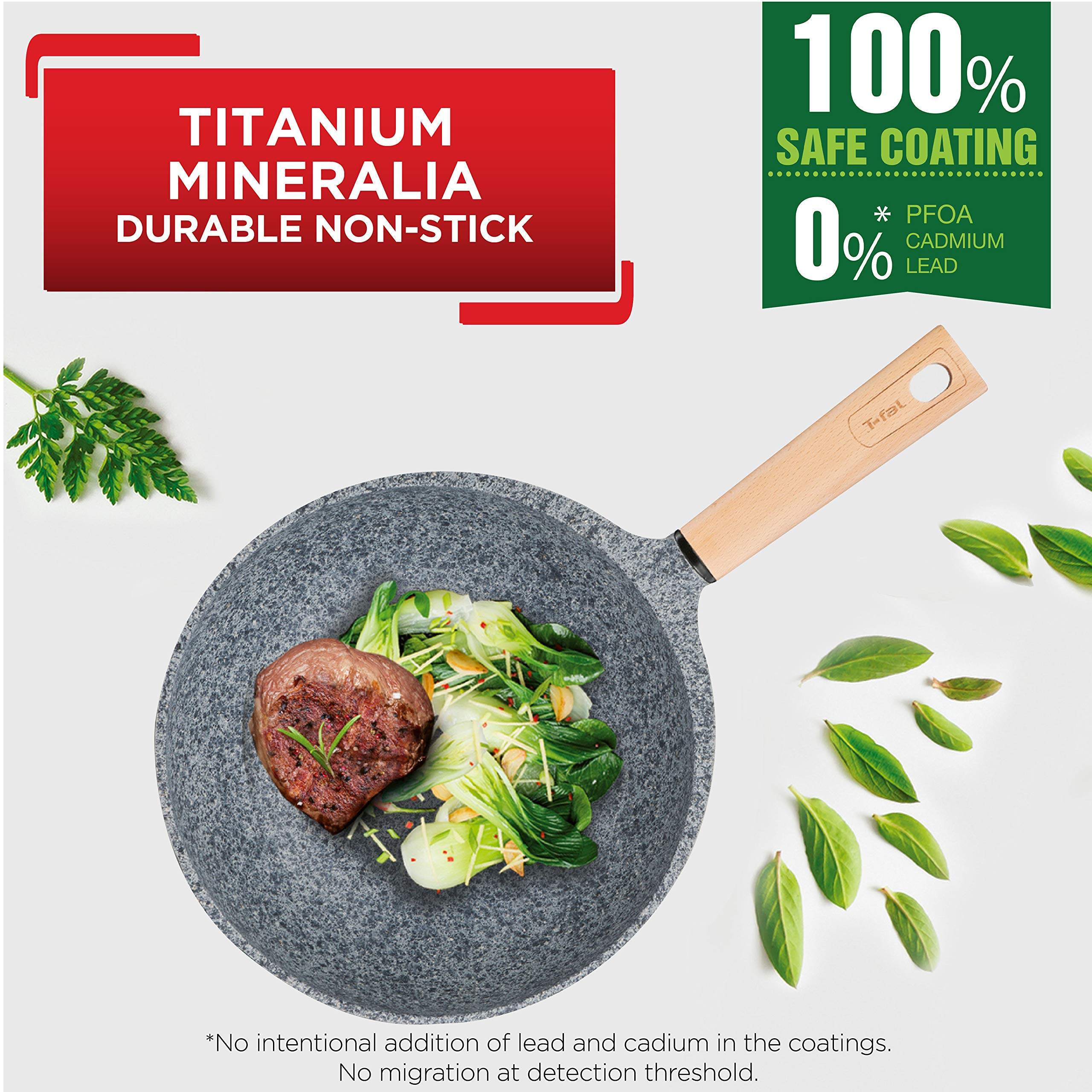 Snapklik.com : T-fal Natura Titanium Nonstick Cast Aluminum