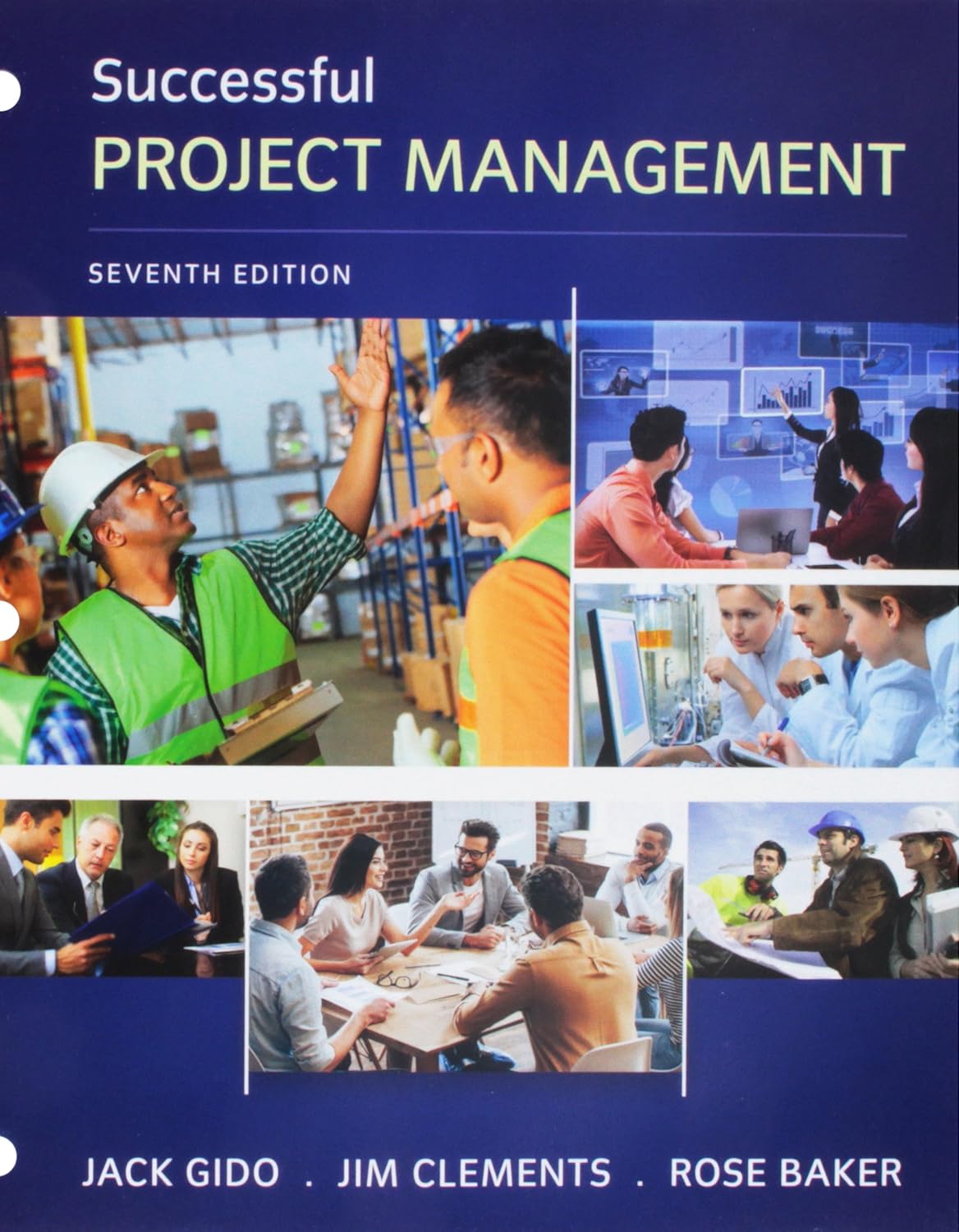 Successful Project Management + Lms Integrated for Mindtap Project ...