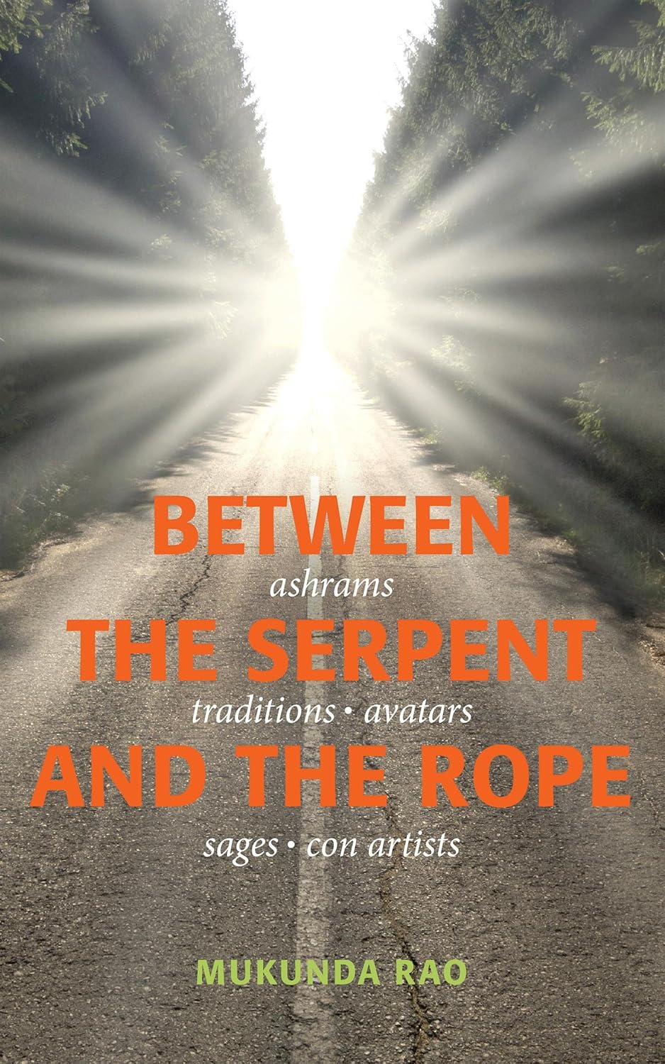 Between the Serpent and the Rope: Ashrams, Traditions, Avatars, Sages ...