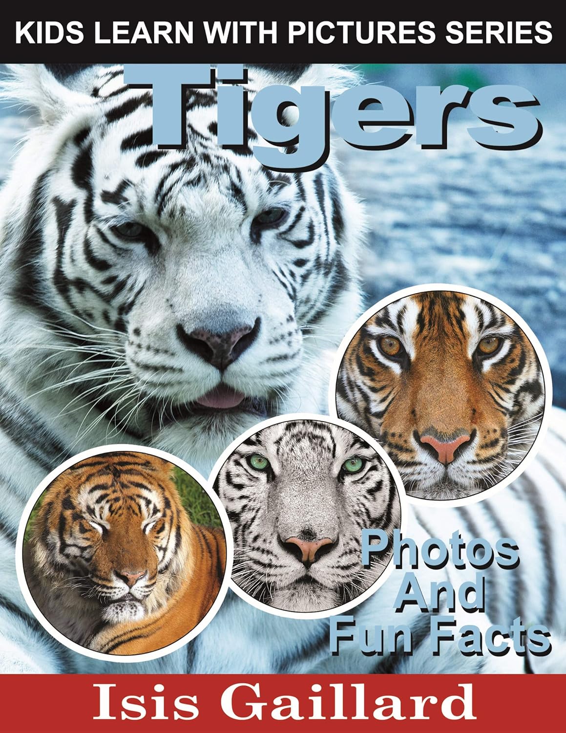 Tigers: Photos and Fun Facts for Kids (Kids Learn With Pictures Book 25 ...