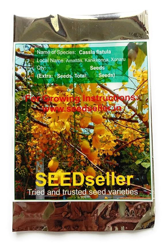 SEEDseller Cassia fistula, Amaltas Seeds for Growing Flowering Tree (60) : Amazon.in: Garden ...