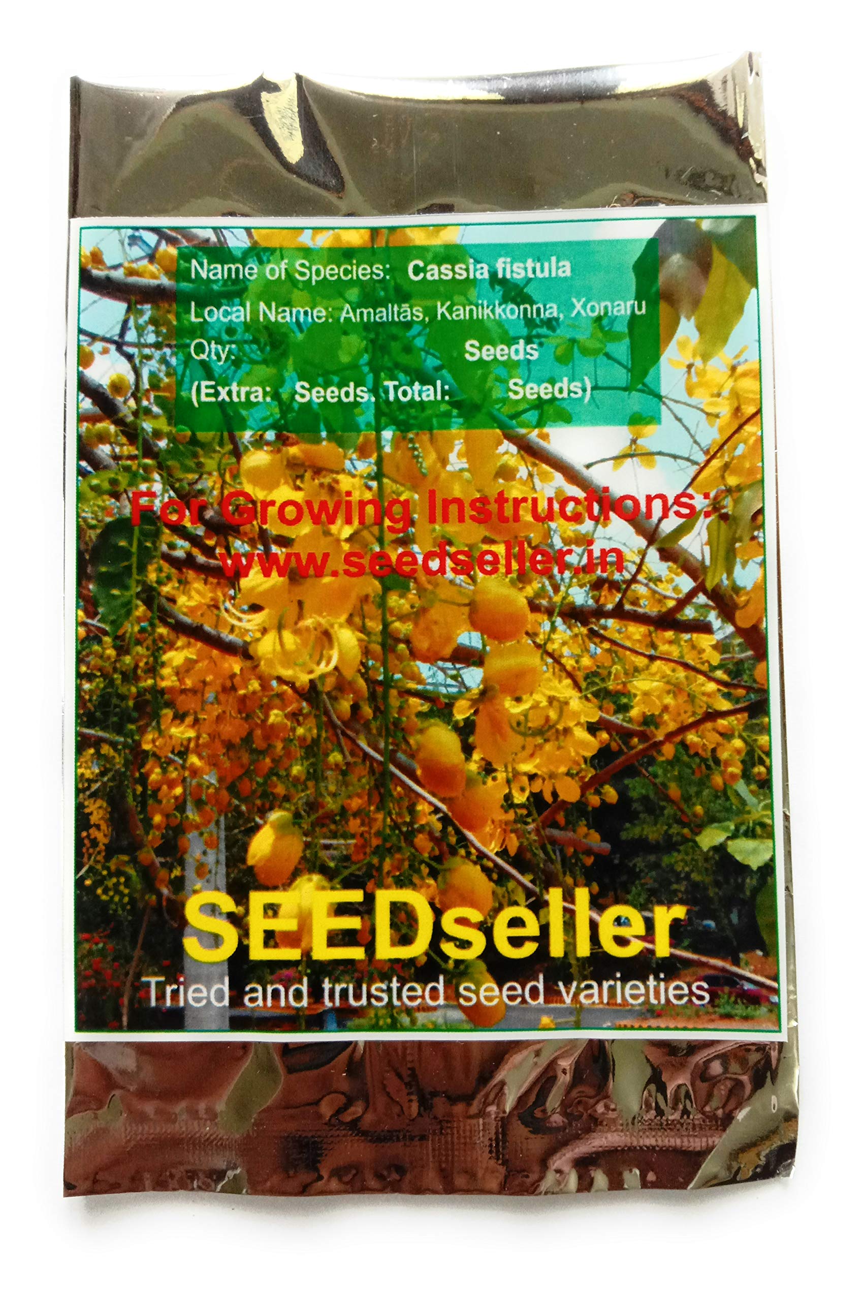 Buy SEEDseller Cassia fistula, Amaltas for growing. Flowering Tree ...