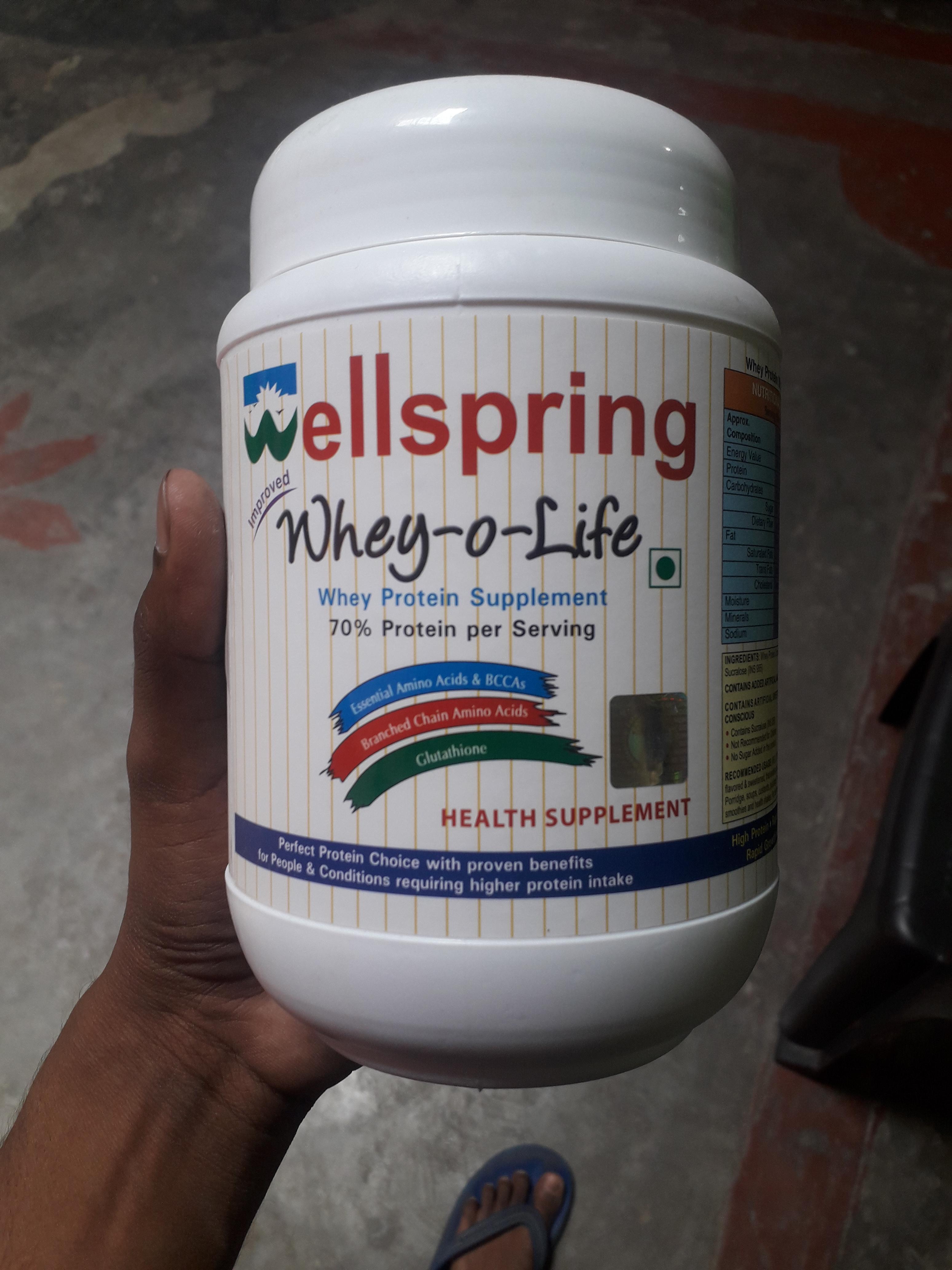 Wellspring Whey-O-Life - Whey Protein Supplement, 70% Protein with all ...