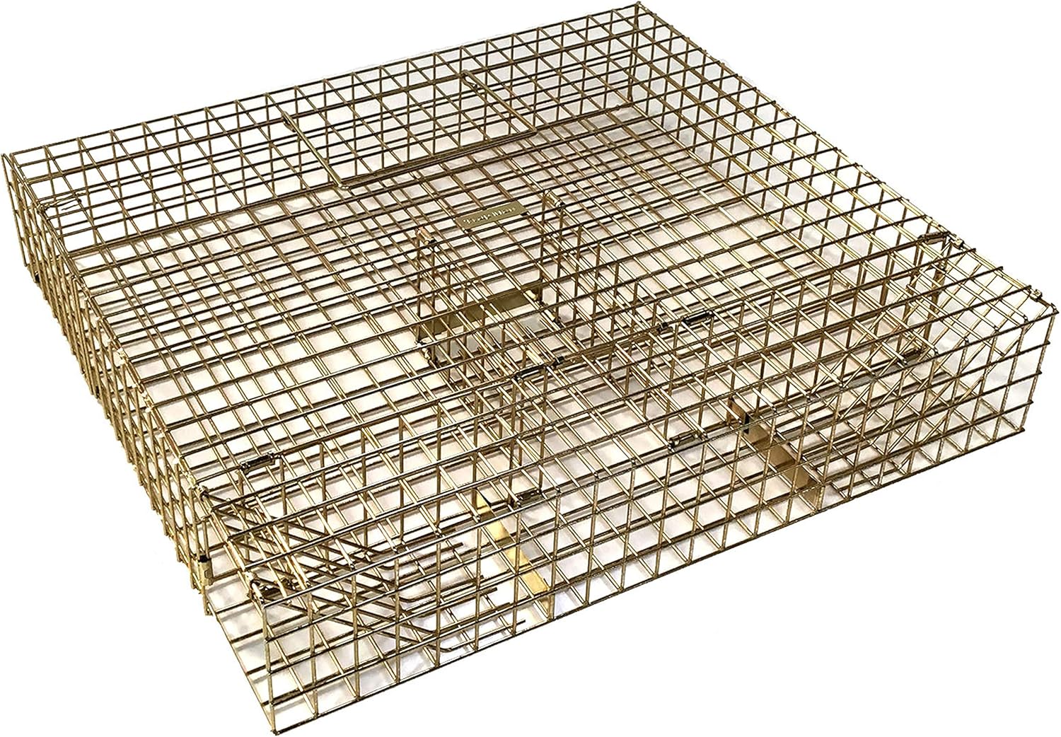 TrapMan Squirrel Trap MULTI CATCH, self setting grey squirrel trap UK ...