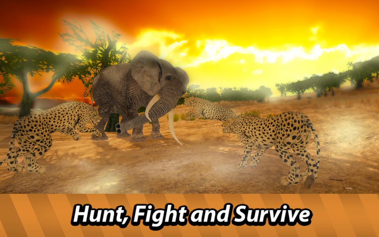 Wild Leopard: African Animal Survival - App on Amazon Appstore