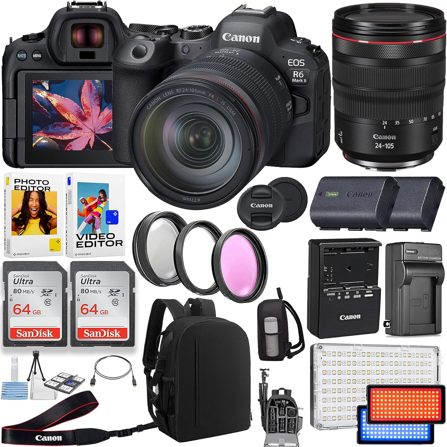 Amazon.com : Canon EOS R6 Mark II Mirrorless Camera with Canon RF 24 ...