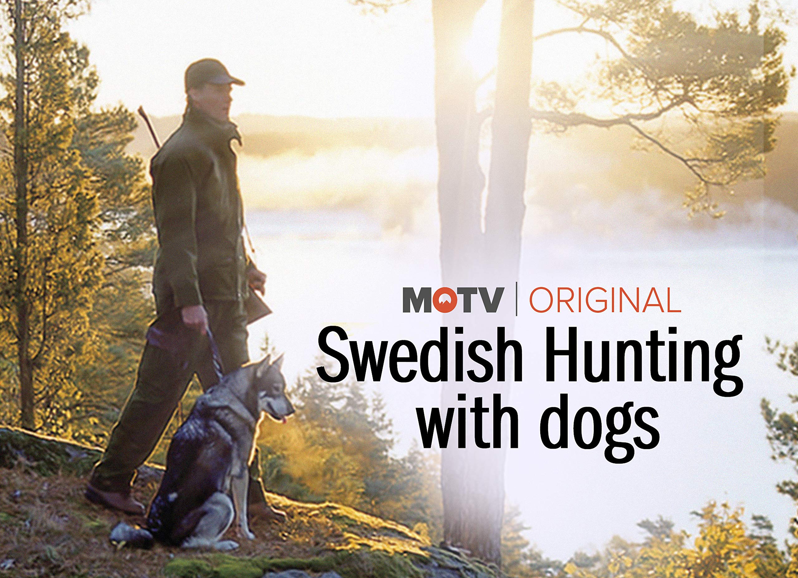 Watch Swedish Hunting With Dogs - Season 1 | Prime Video