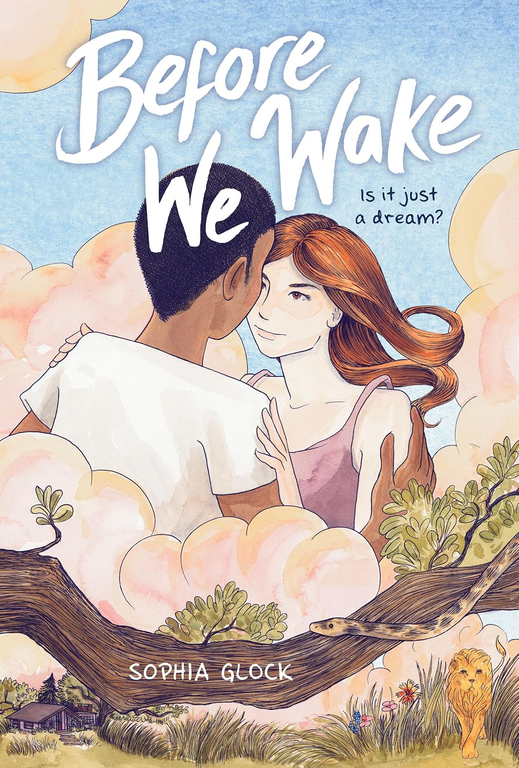 Amazon.com: Before We Wake (A Graphic Novel): 9780316459044: Glock ...