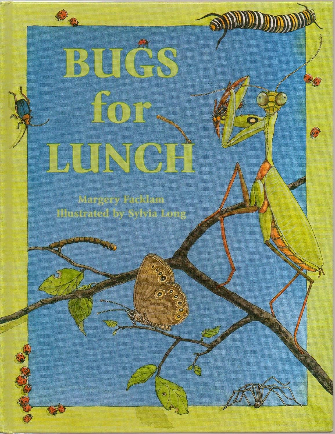 Bugs for Lunch - Rhyming Text Introduces Bug-Eating Animals Such as ...