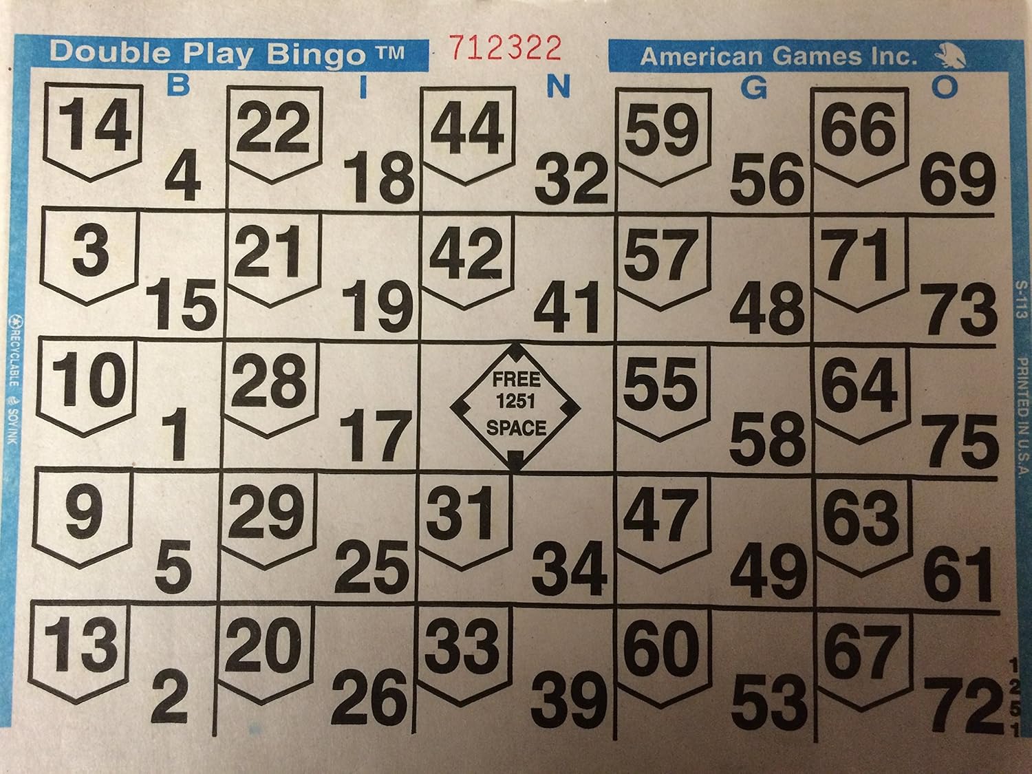 Amazon.com : American Games 1on Double Action Bingo Paper Cards (500 ...