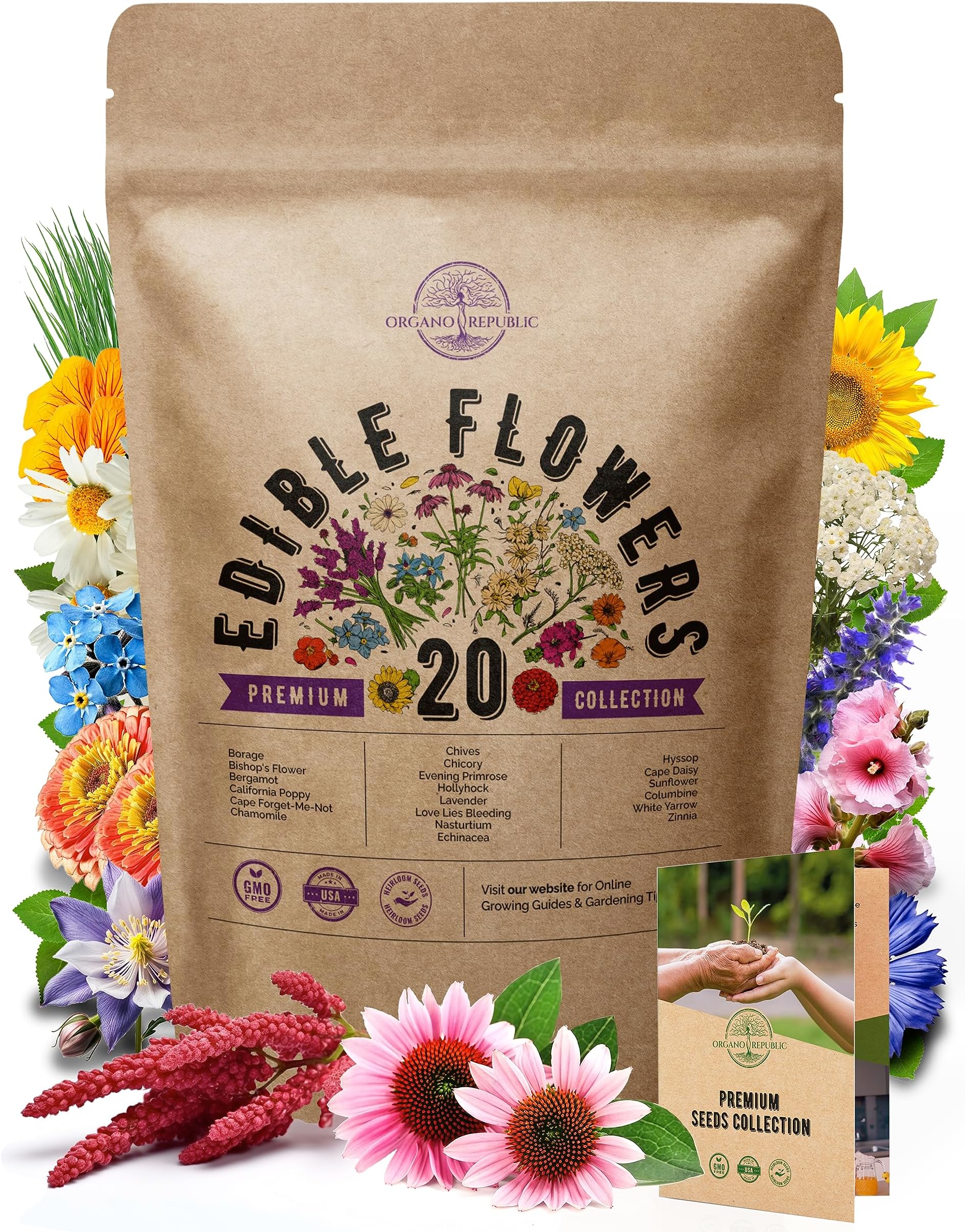 Amazon.com : SUSTAINABLE SPROUT Edible Flower Seeds Variety 7 Pack ...