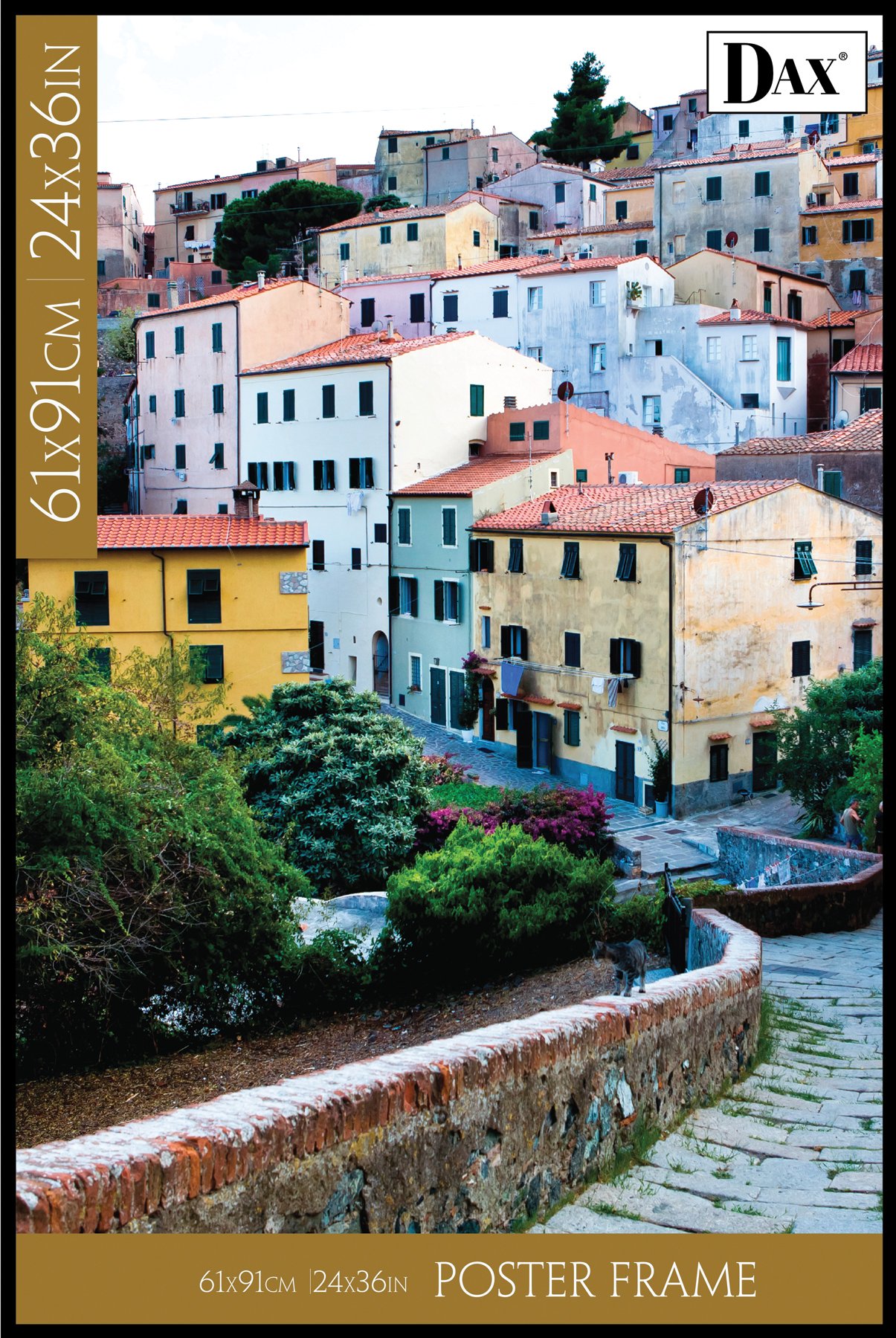 Dax Poster Frames