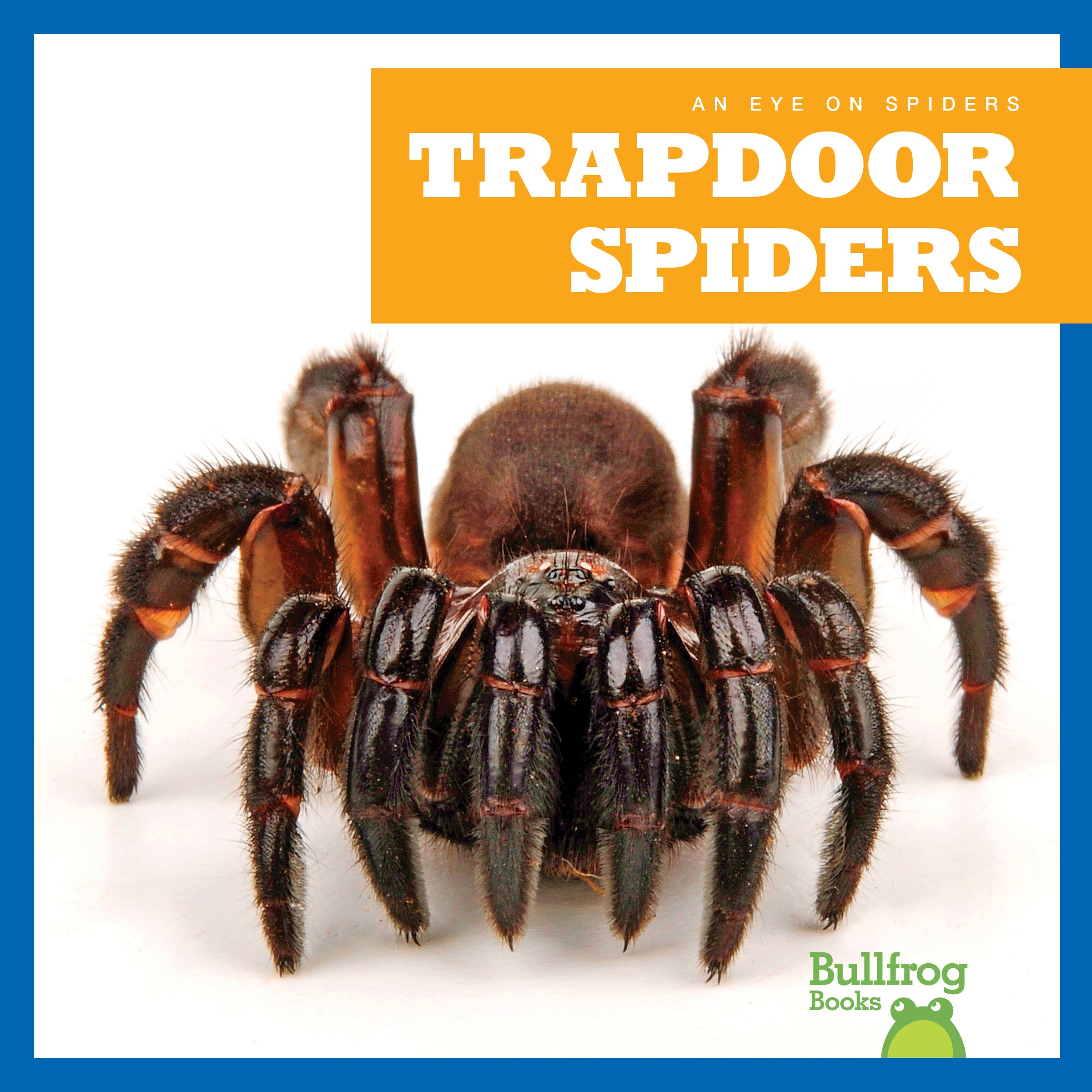 Amazon.com: Trapdoor Spiders (Bullfrog Books: An Eye on Spiders ...