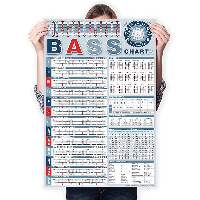 Buy Bass Note Chart of Scale Chords | Bass Reference Poster for ...