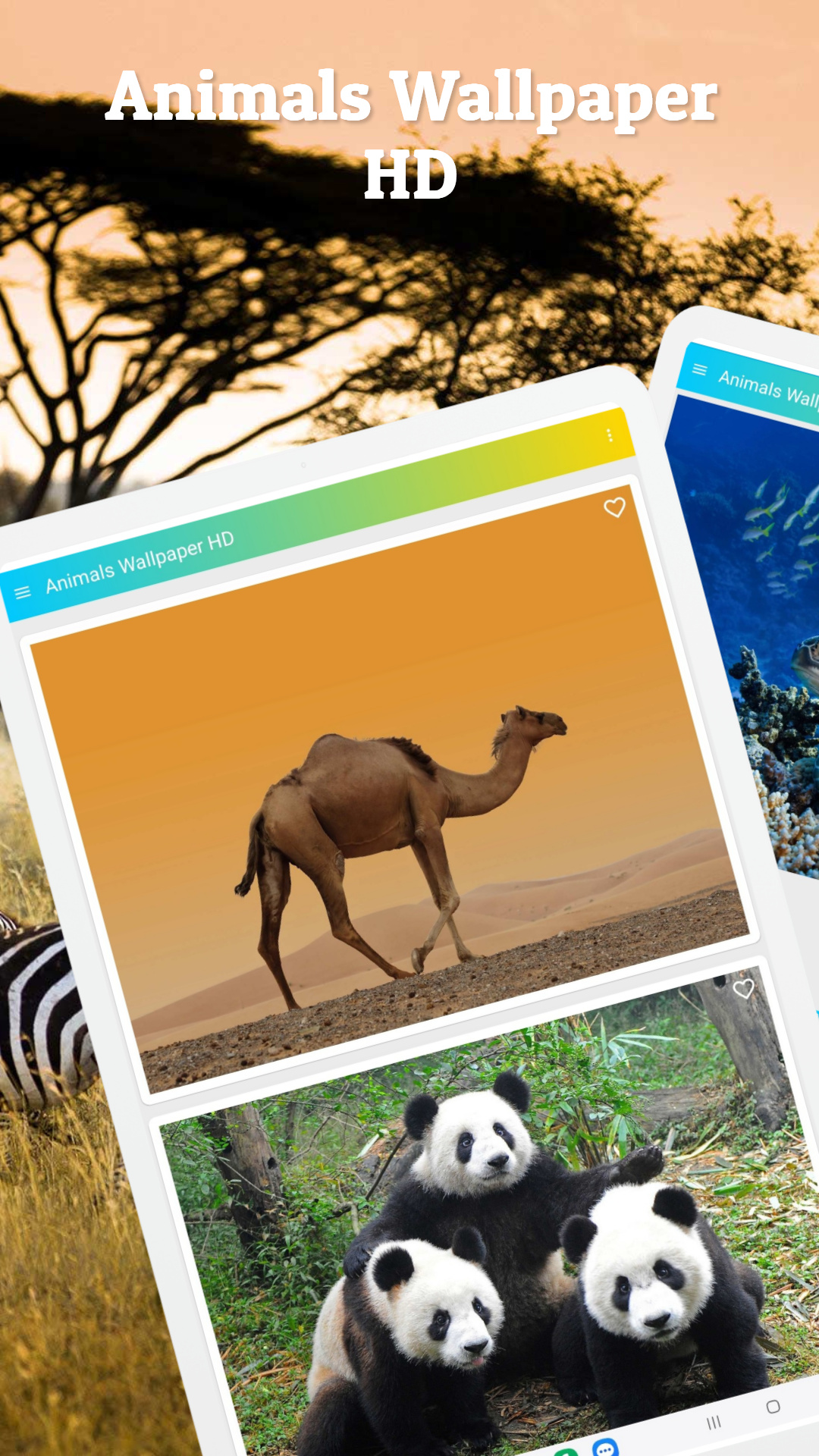 Animals Wallpaper HD Free - App on Amazon Appstore