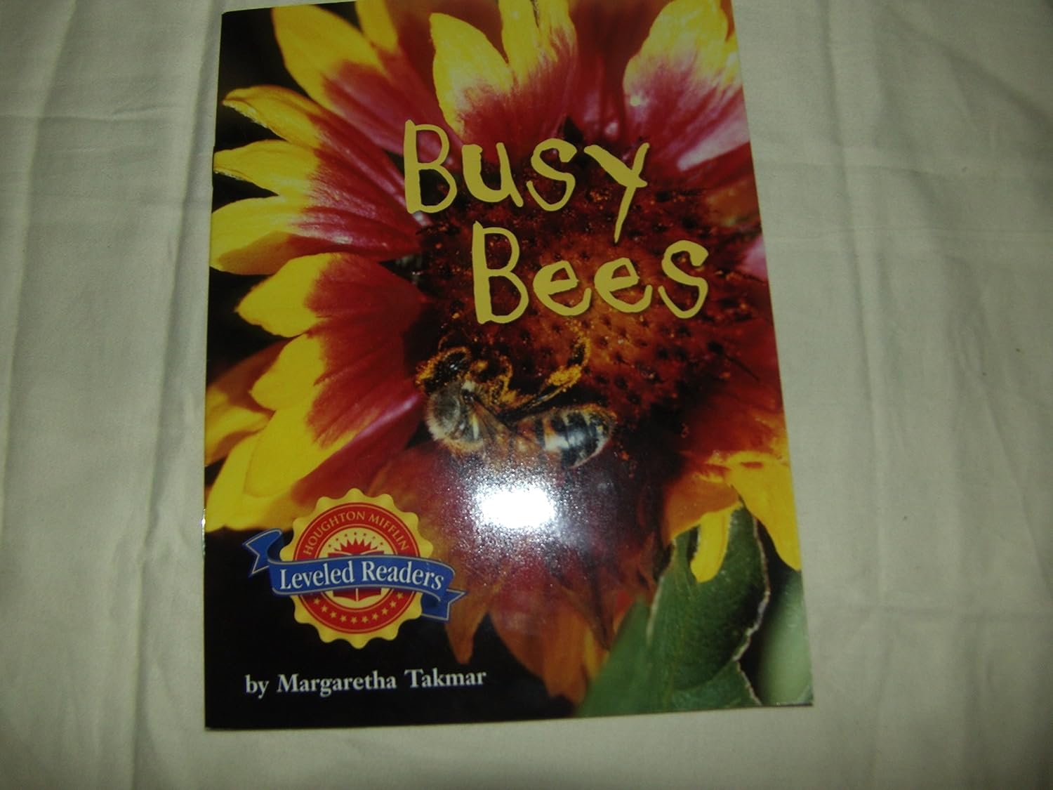 Amazon.com: Houghton Mifflin Reading Leveled Readers: Level 2.4.2 on ...