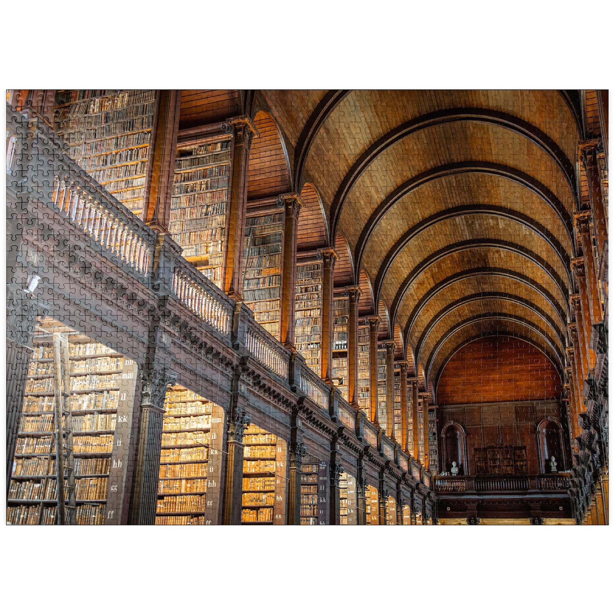 Amazon.com: MyPuzzle Books in The Long Room Library, Trinity College ...